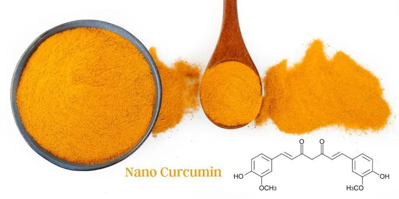 Top 6 Best Nano Curcumin Products Available in the Market Today - Mytour.vn