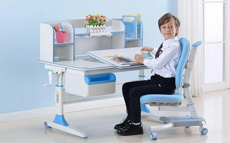 Top 5 Stores in Hai Phong for Quality Anti-Slouching and Anti-Myopia ...