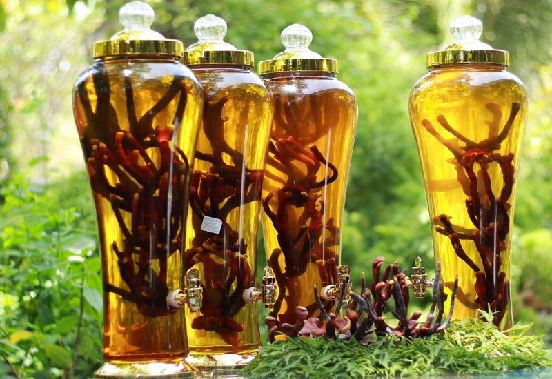 Top 19 Health-Boosting Herbal Liquors That Have Been Tested - Mytour.vn