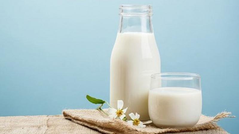 Top 5 Best Milk Options for Stomach Ulcer Patients Today - Mytour.vn