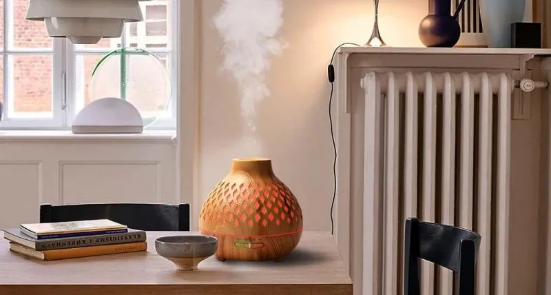 Top 5 Best Places to Buy Essential Oil Diffusers at Great Prices in Thu ...