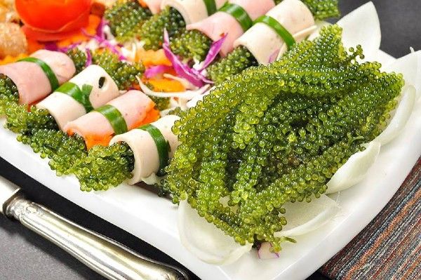 Top 5 Best Quality Water-Extracted Sea Grapes Products Right Now ...