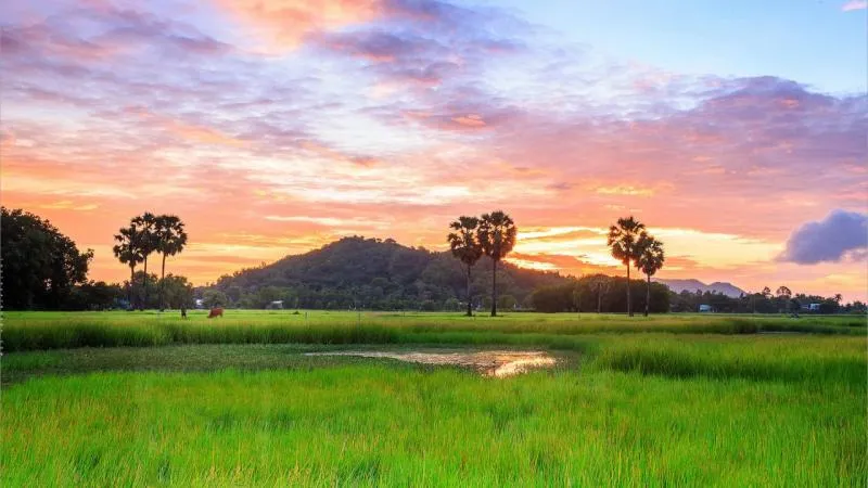 Top 10 Most Beautiful Poems About Homeland - Mytour.vn