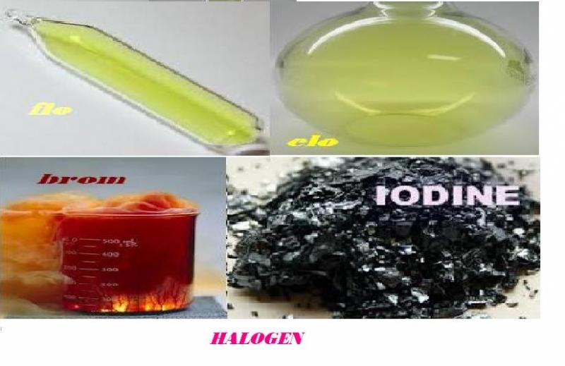 7 Fascinating Facts About the Halogen Group in Chemistry That You Might ...