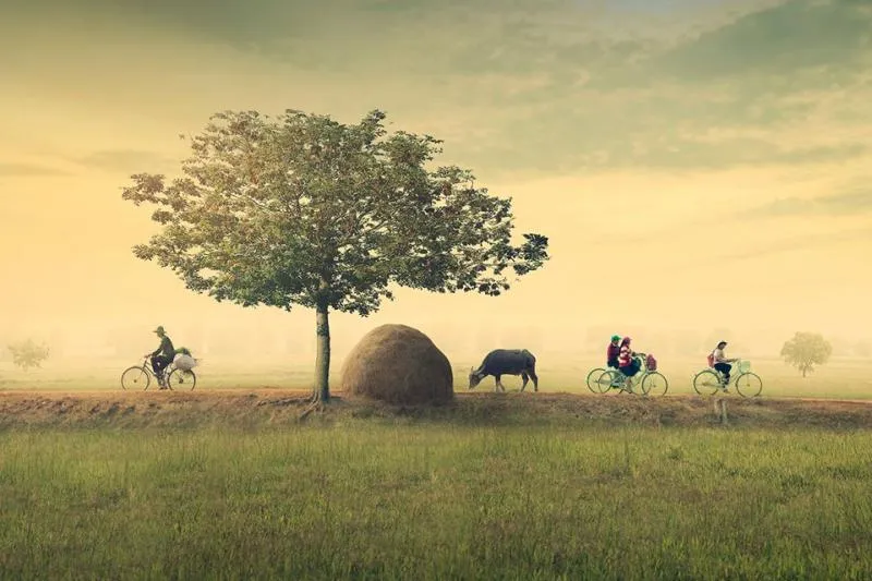 Top 10 Best 4-Letter Poems About Homeland - Mytour.vn