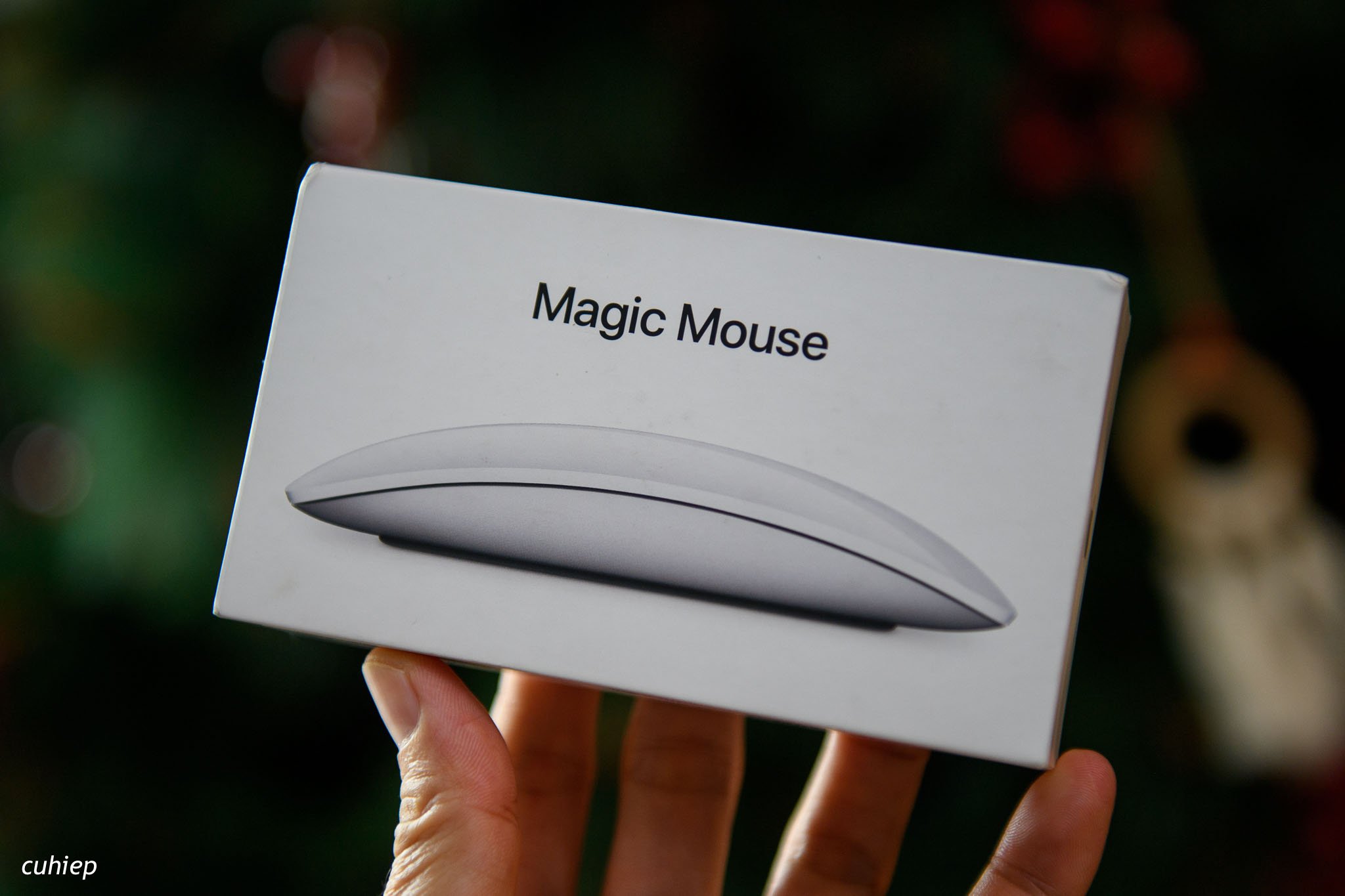 Mua 2 con Magic Mouse USB-C thay cho Razer Pro Click đã sử dụng 3 năm ...