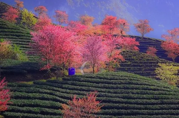 Top 15 Beautiful Poems Written About February