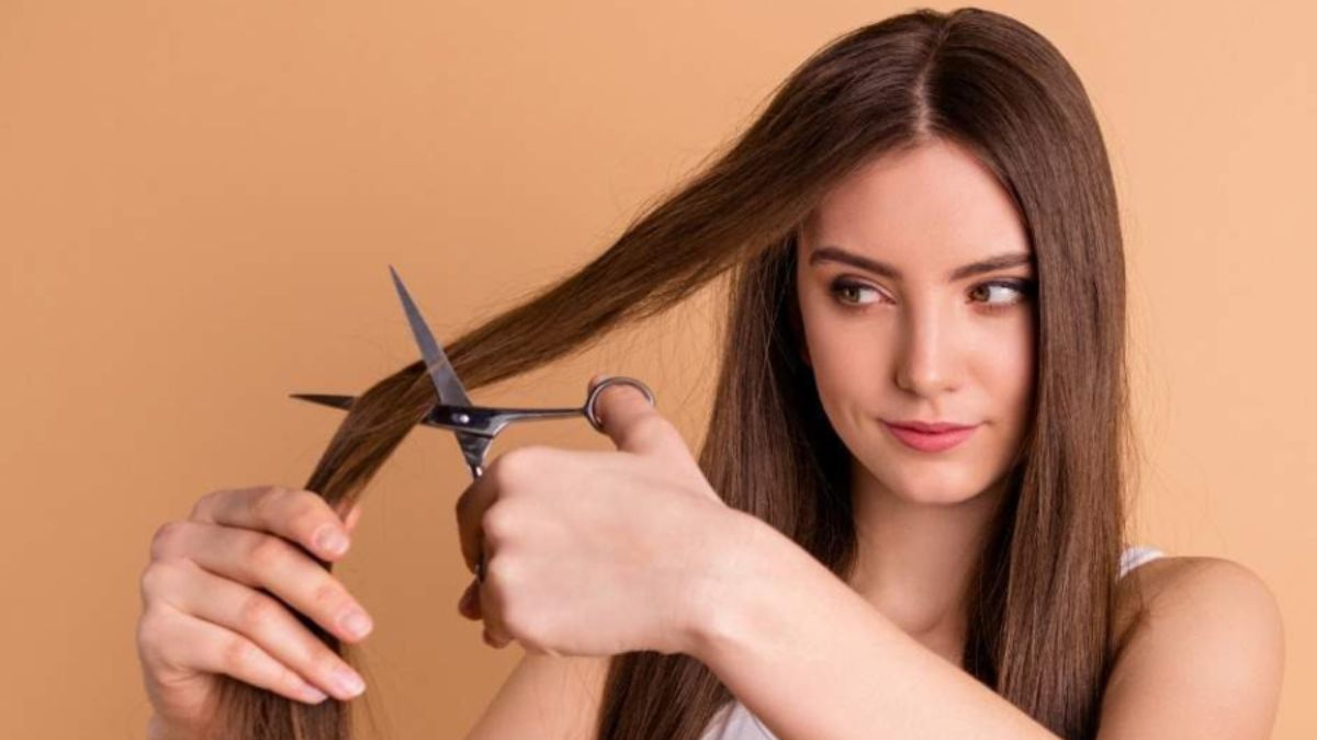 The February 2025 haircut schedule is favorable, bringing plenty of ...