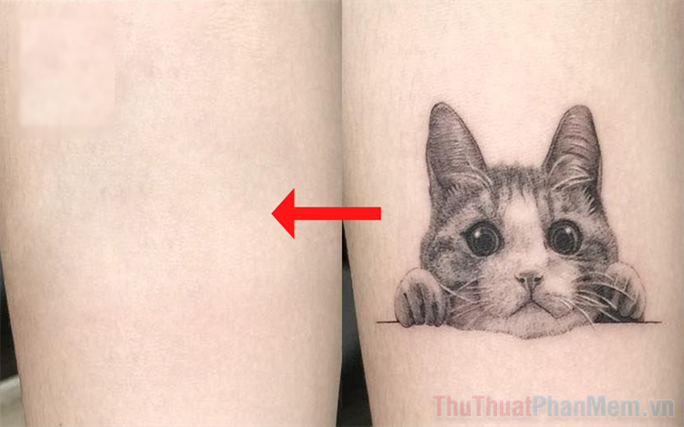 Tattoo Design Apps - Top 5 Apps to Add Tattoos to Your Photos