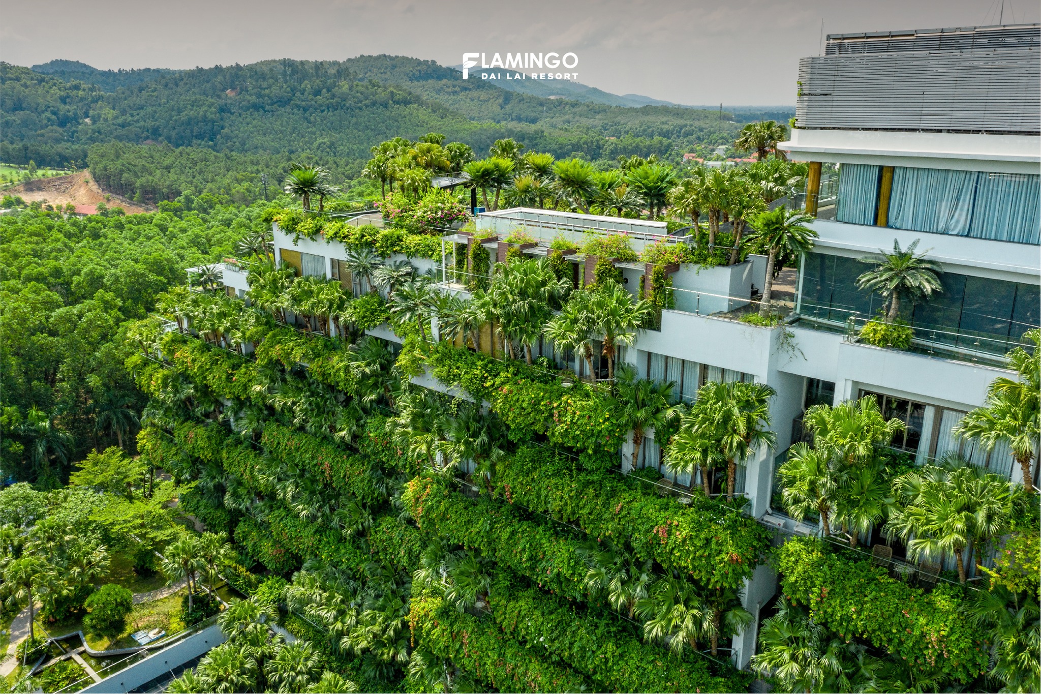 Forest In the Sky – Flamingo Dai Lai Resort – a retreat amidst a ...