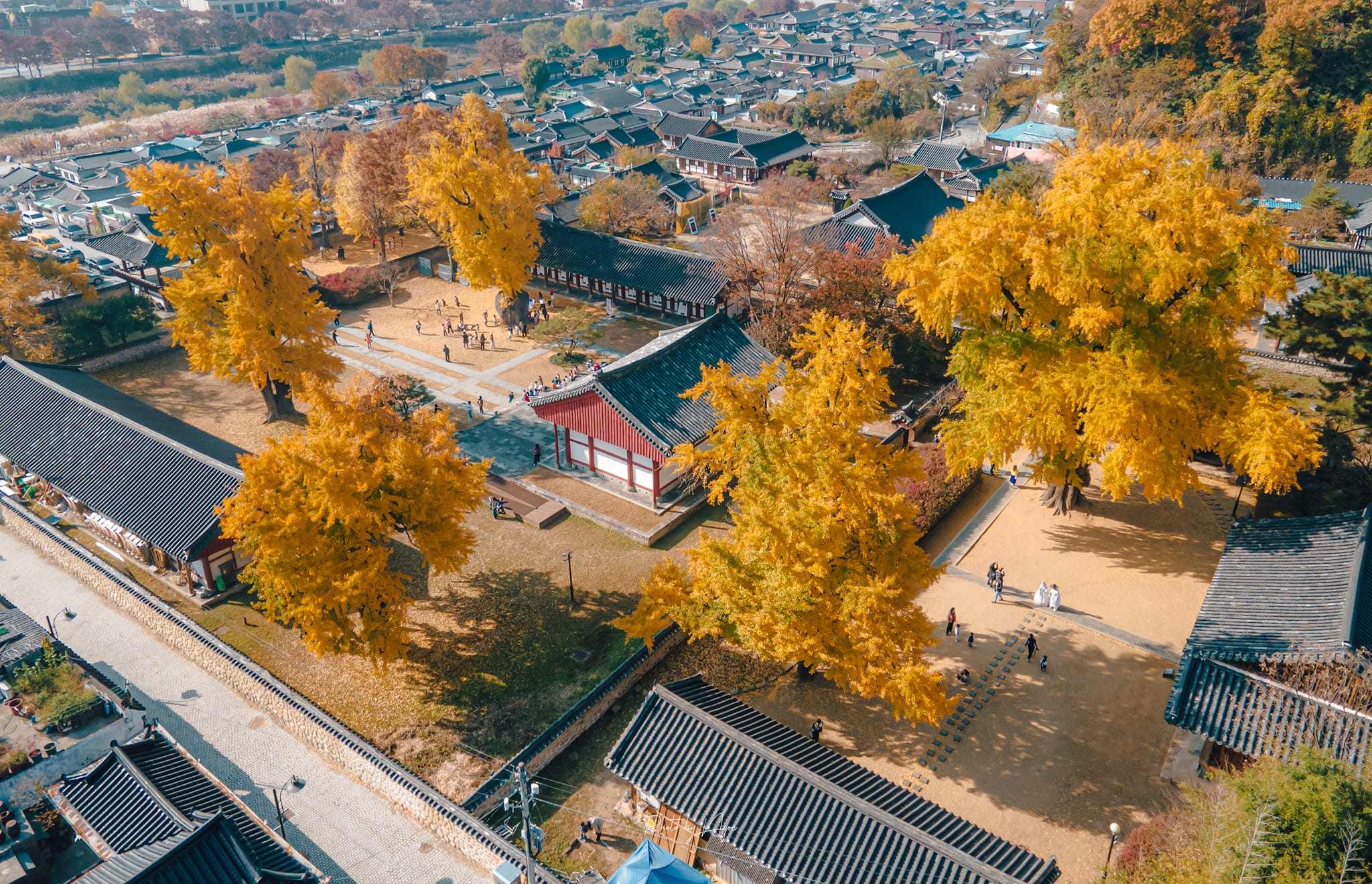The vibrant autumn of Korea shines in the ancient Hanok Jeonju Village