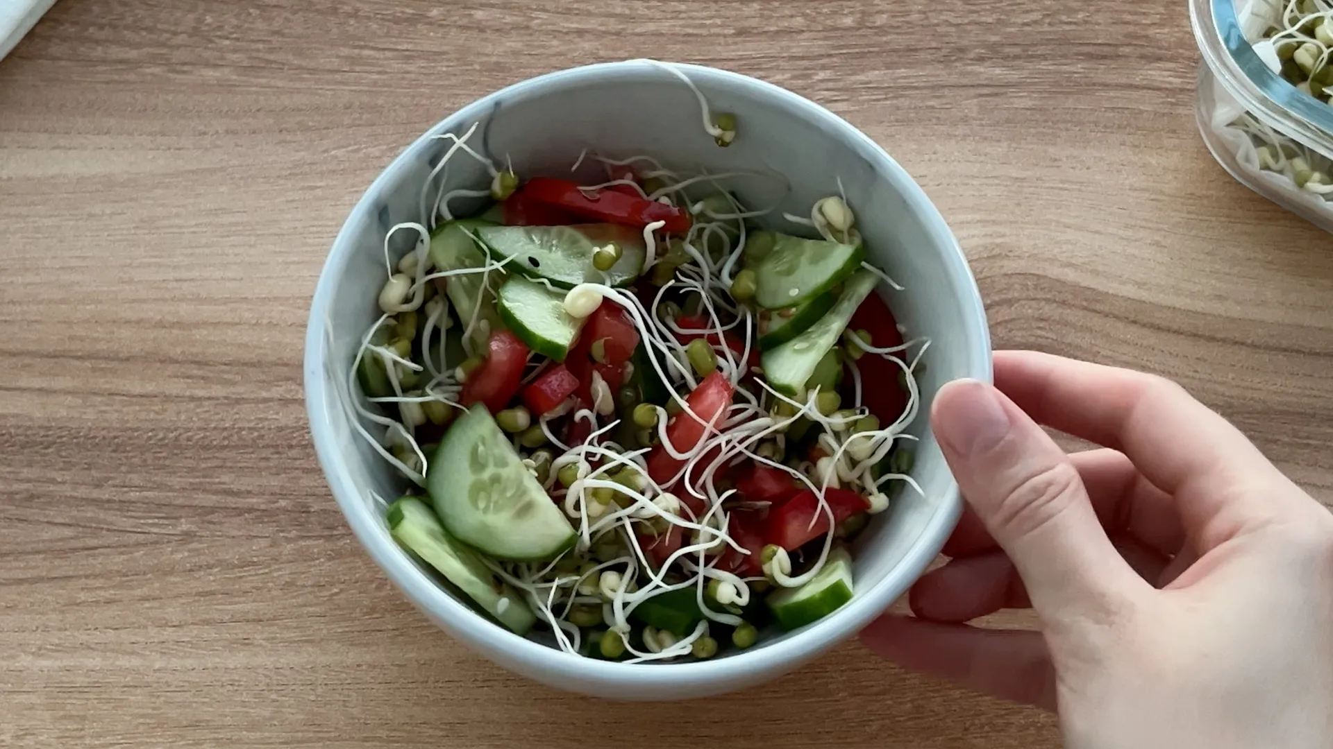 How to Grow Bean Sprouts from Green Beans: 12 Simple Steps (with Photos ...