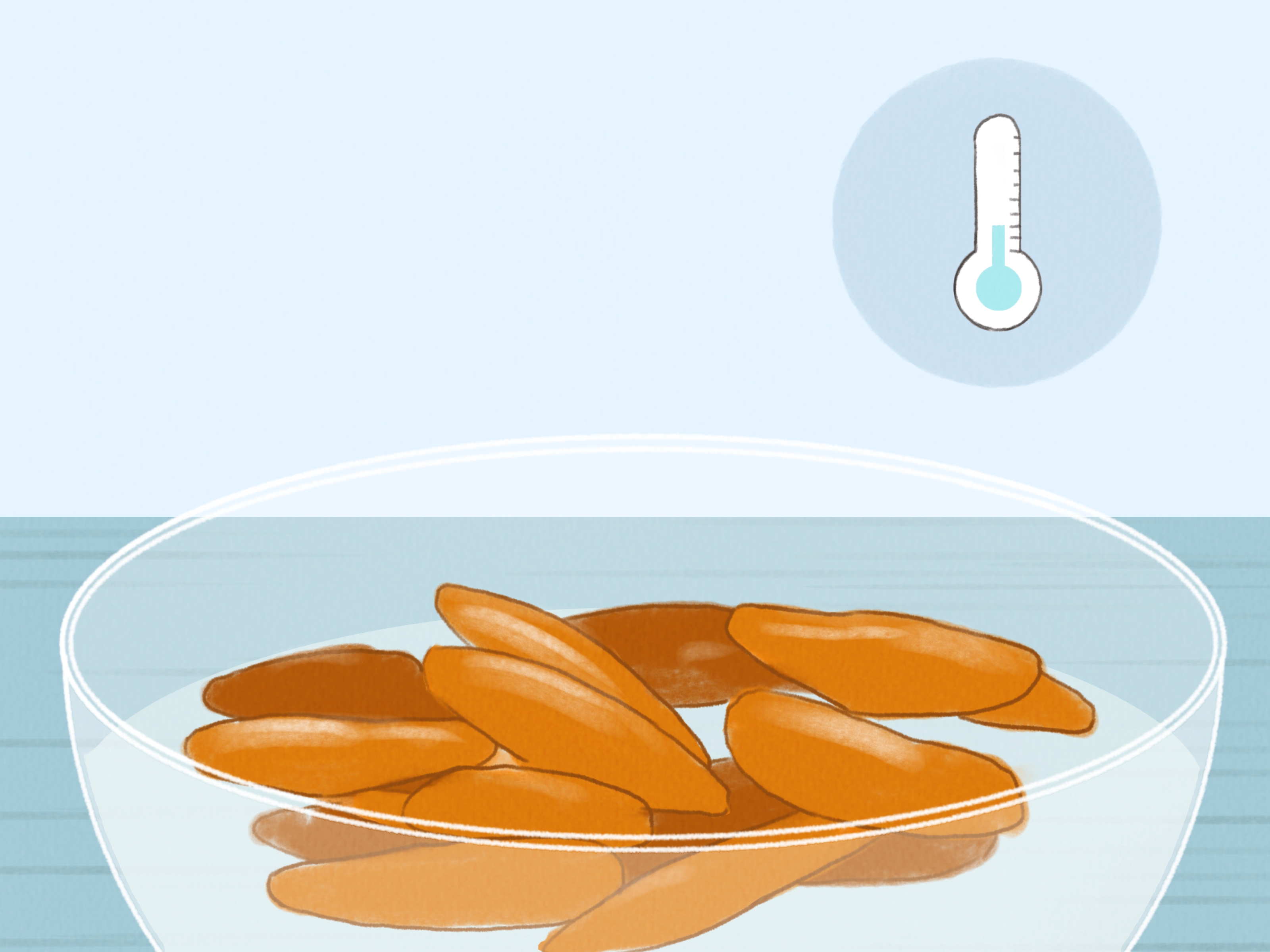 How to Identify Spoiled Carrots