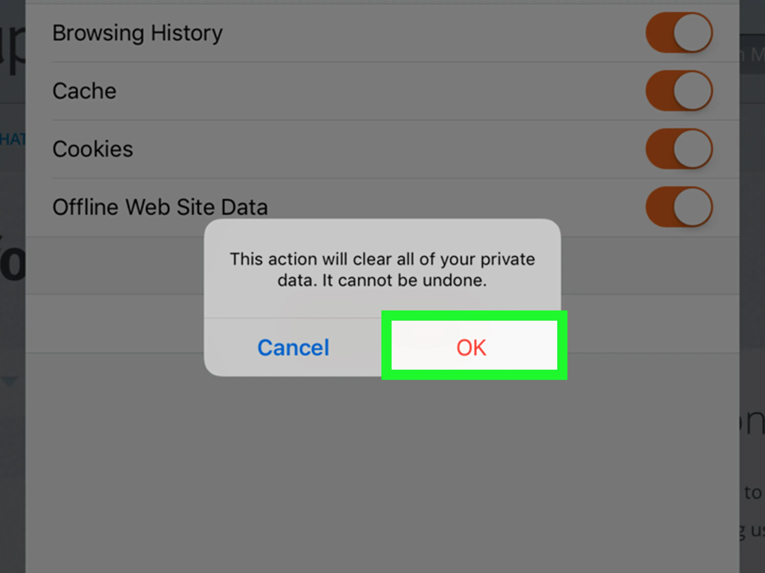 How to Clear Browsing History on iPad – Mytour