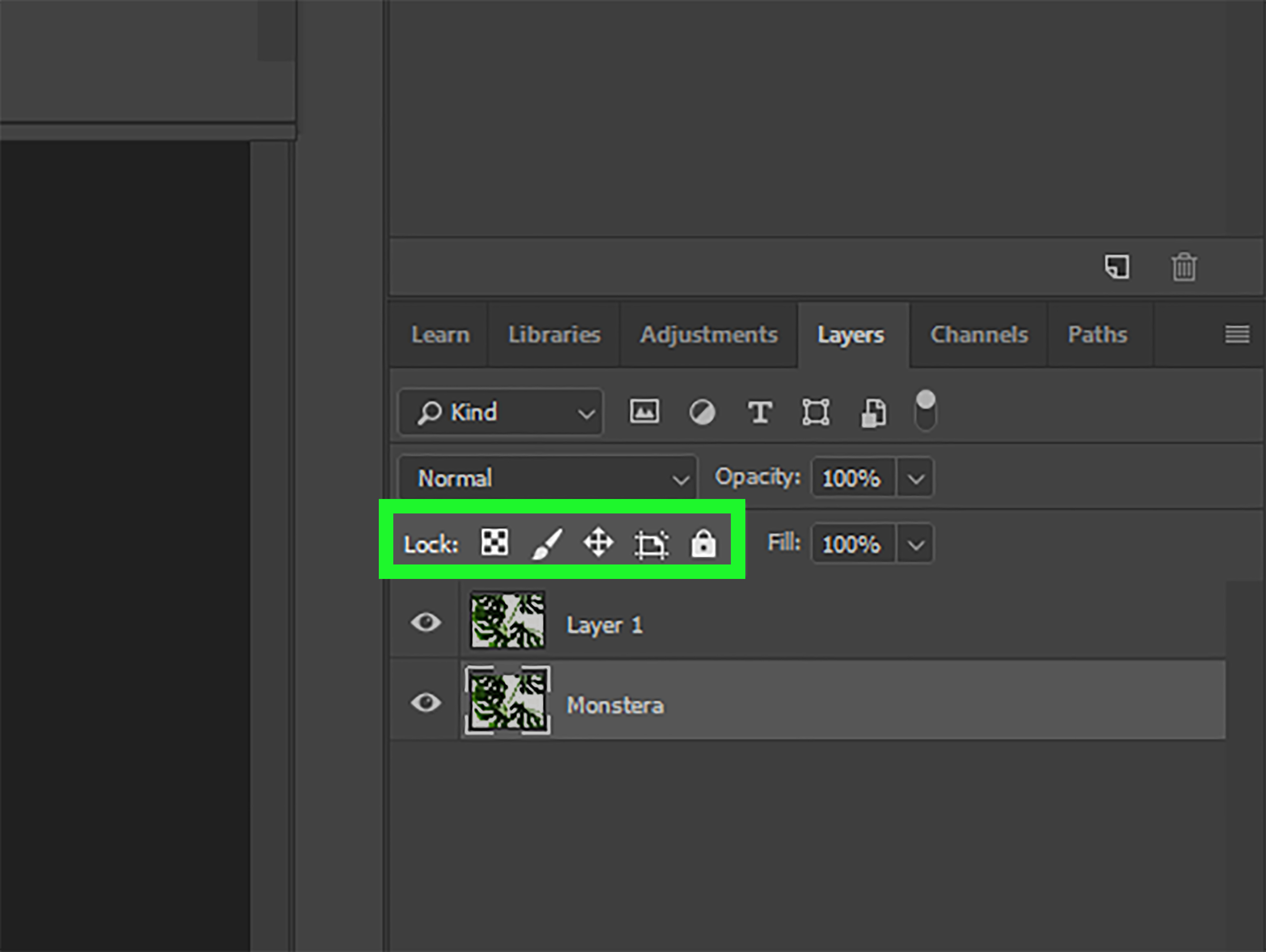How to Unlock a Layer in Photoshop: A Step-by-Step Guide (with Images ...