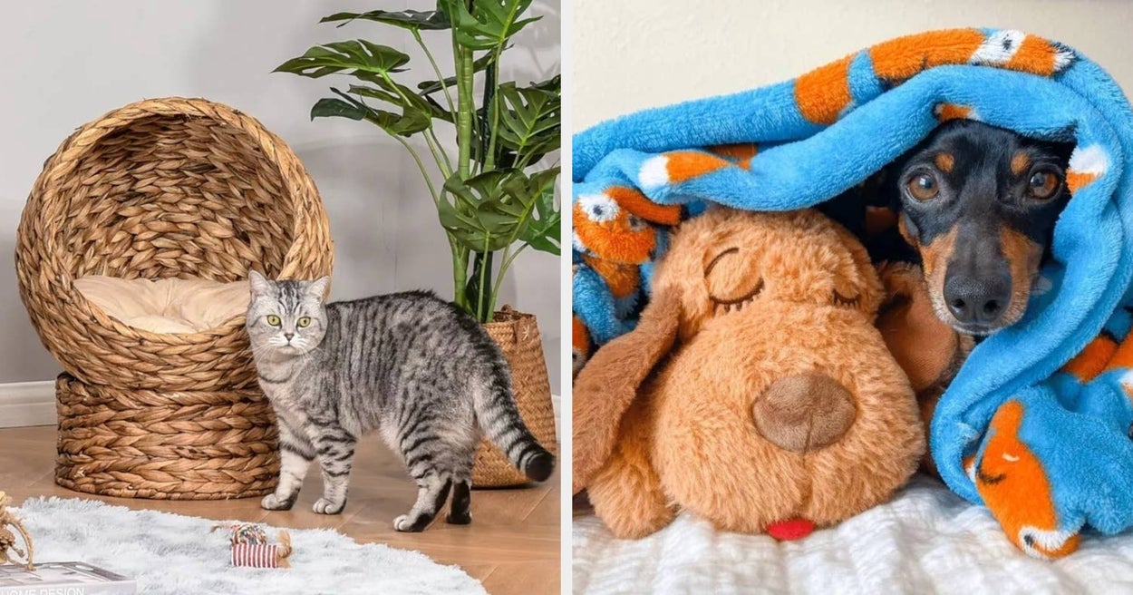 20 Must-Have Pet Products from Target That Will Delight Every Pet Owner