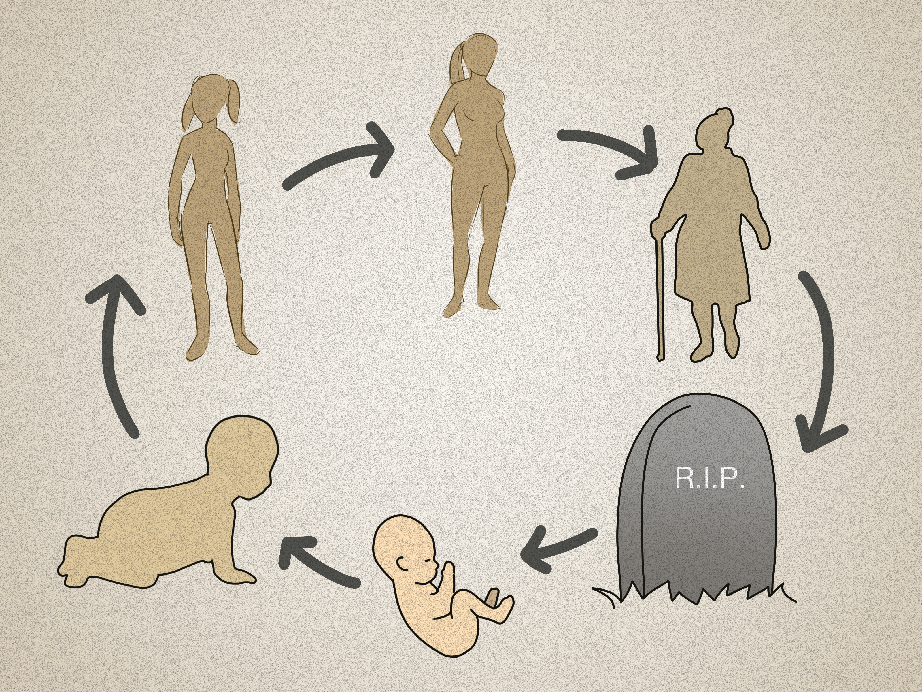 How to Break Free from the Cycle of Rebirth: 9 Pathways to Enlightenment