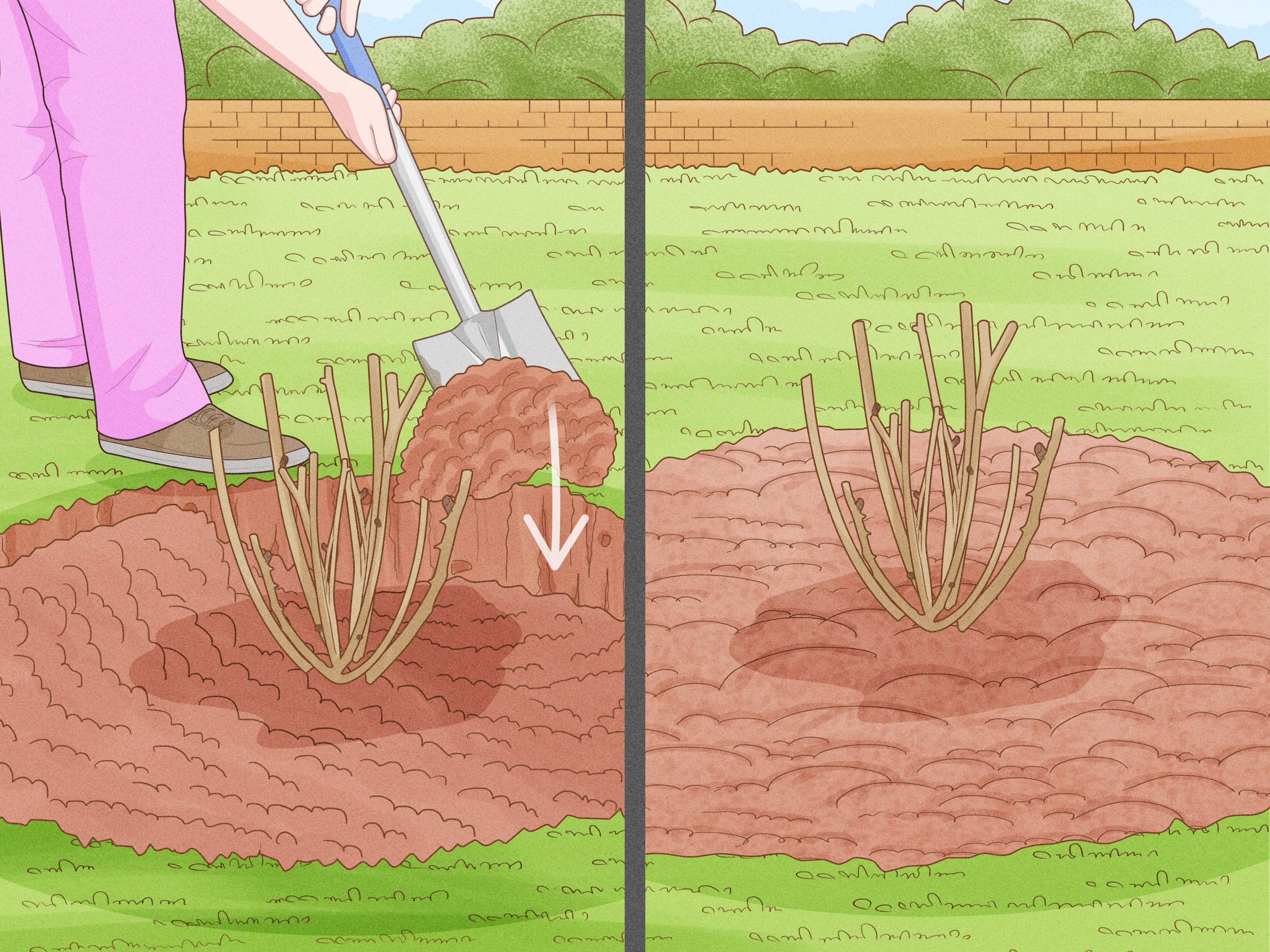 How to Remove Large Bushes