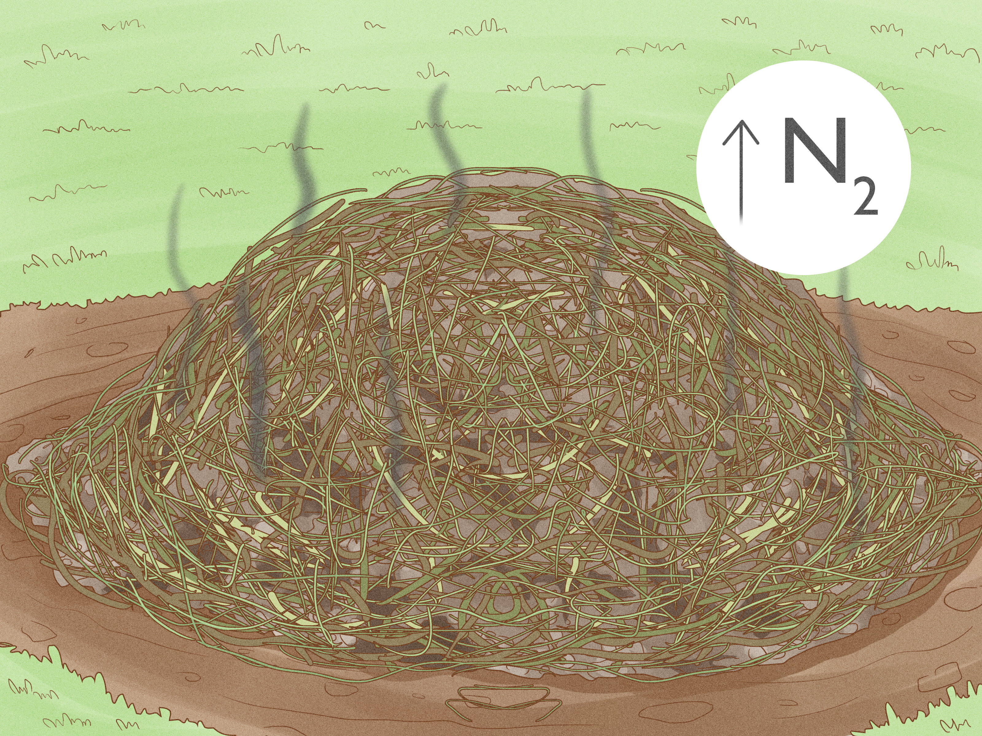 Why does my garden smell like ammonia?