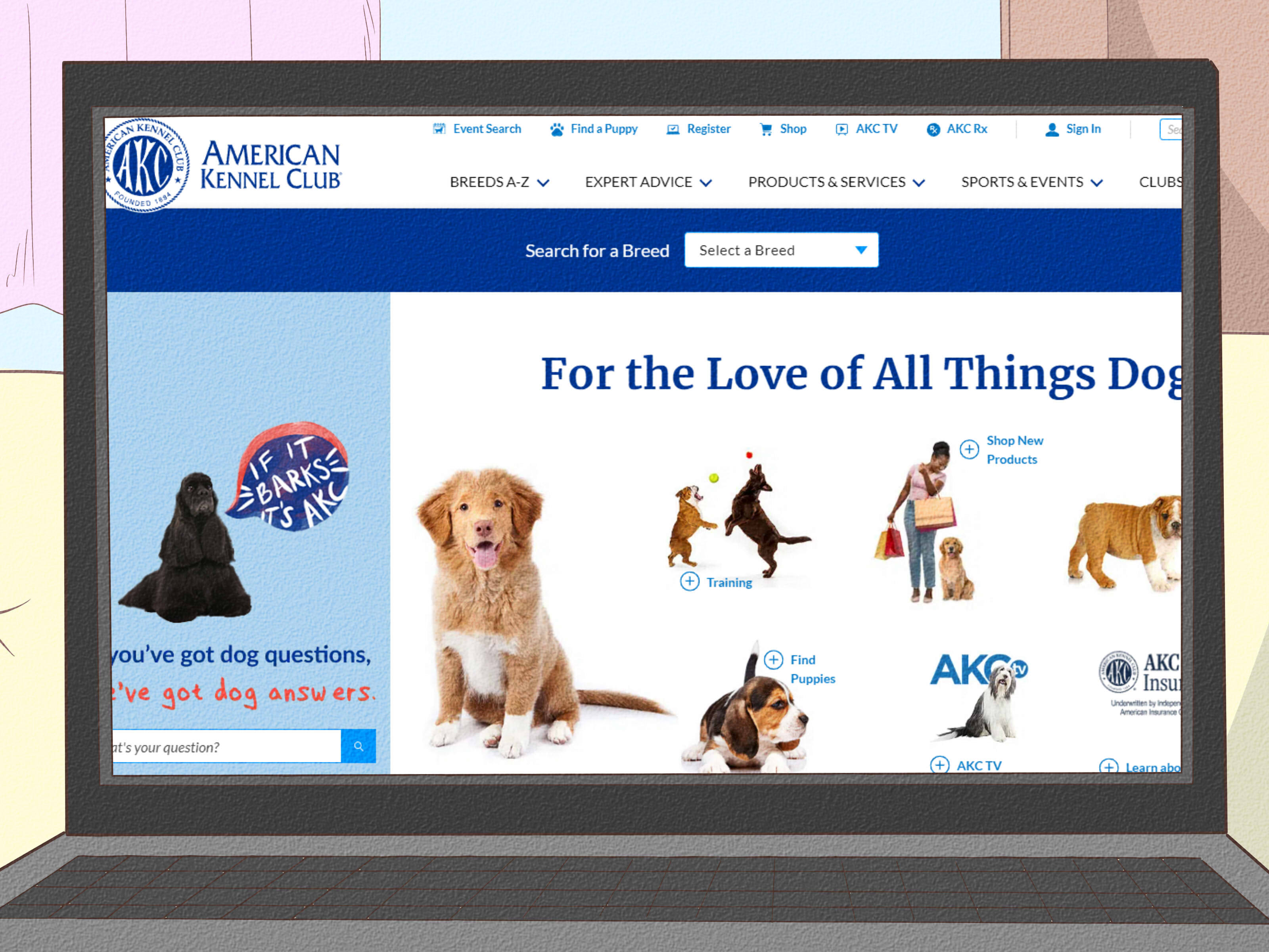 How to Identify Your Dog's Breed: A 13-Step Guide (with Images) – Mytour
