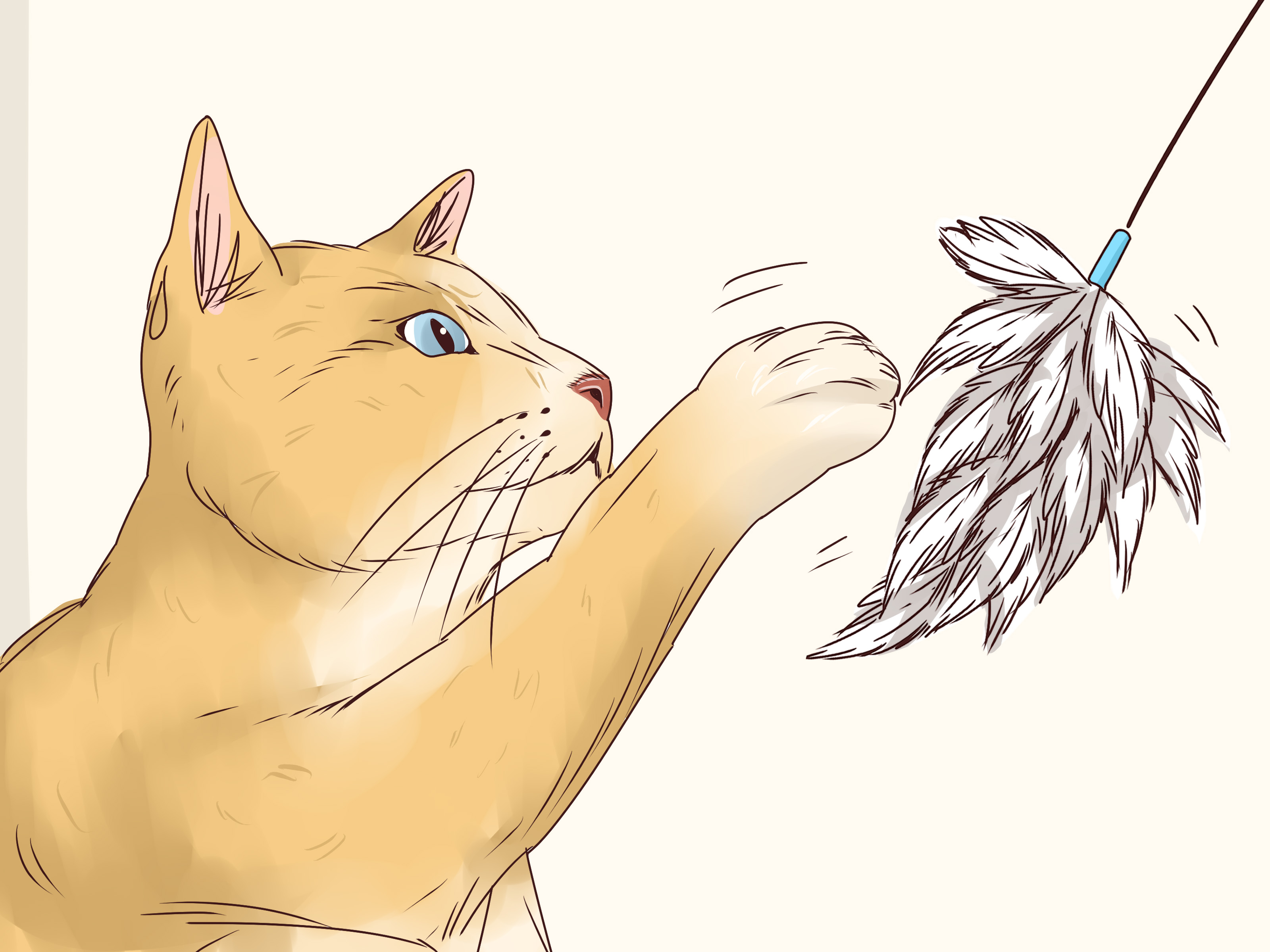 How to Make a Cat Like You: 13 Steps (With Pictures) – Mytour