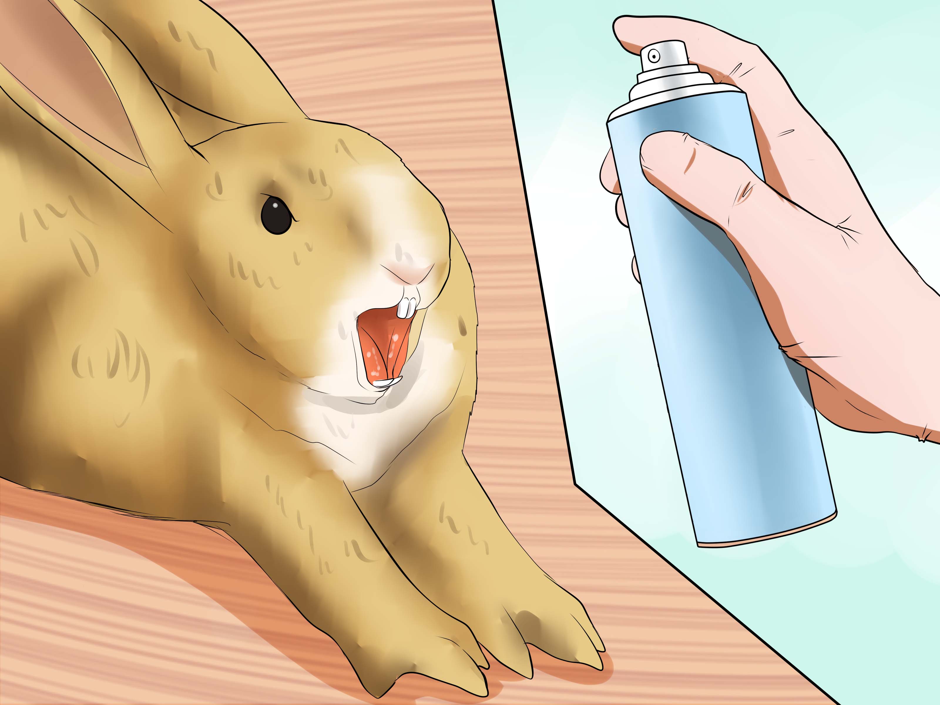 How to help rabbits get acquainted with each other