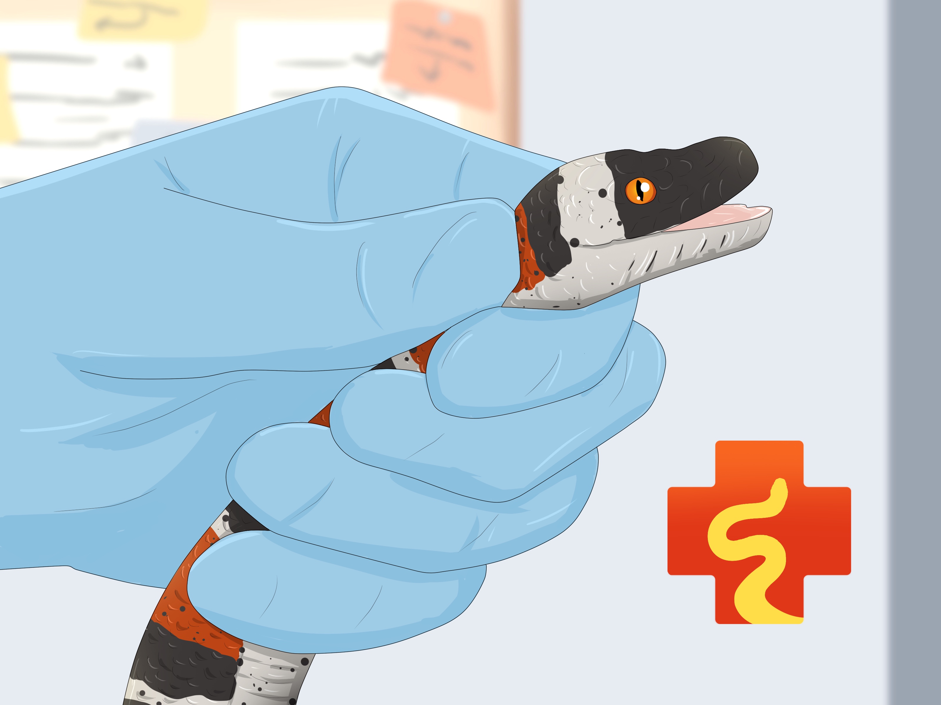 How to Care for Shedding Snakes: 12 Steps (with Pictures) – Mytour