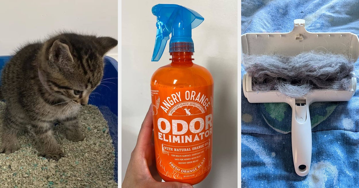 23 Effective Tips to Eliminate Pet Odors and Keep Your Home Fresh