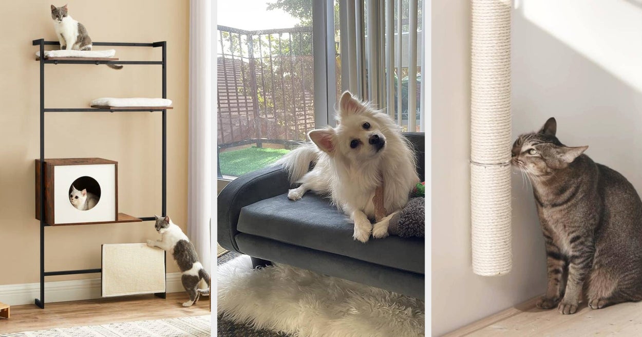 28 Stylish Pet Products That Have Won Over Reviewers