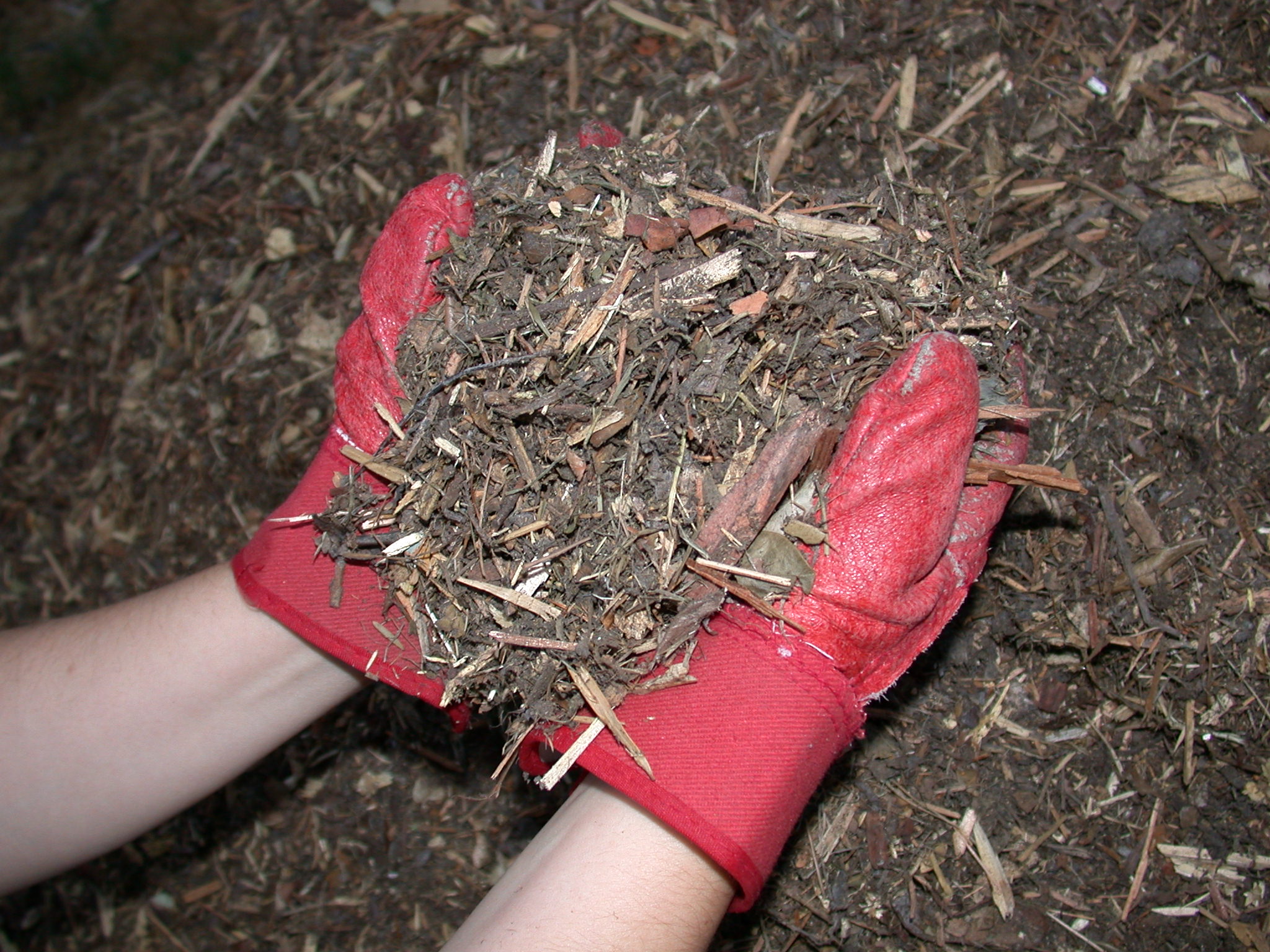 How to Use Garden Mulch: 9 Steps (With Pictures) – Mytour