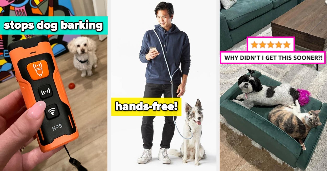 Here are 30 of the most amazing pet products I’ve come across in 2024