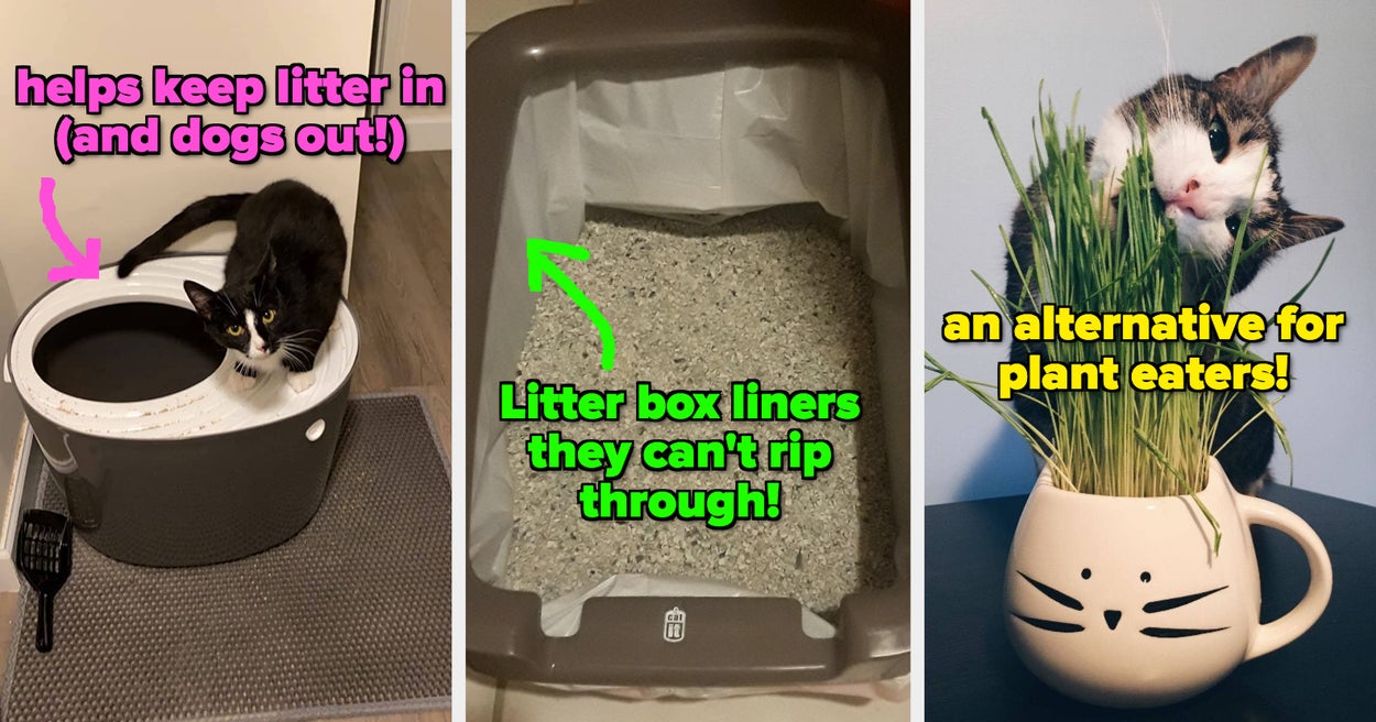 33 Innovative Cat Products to Solve Those Pesky Issues