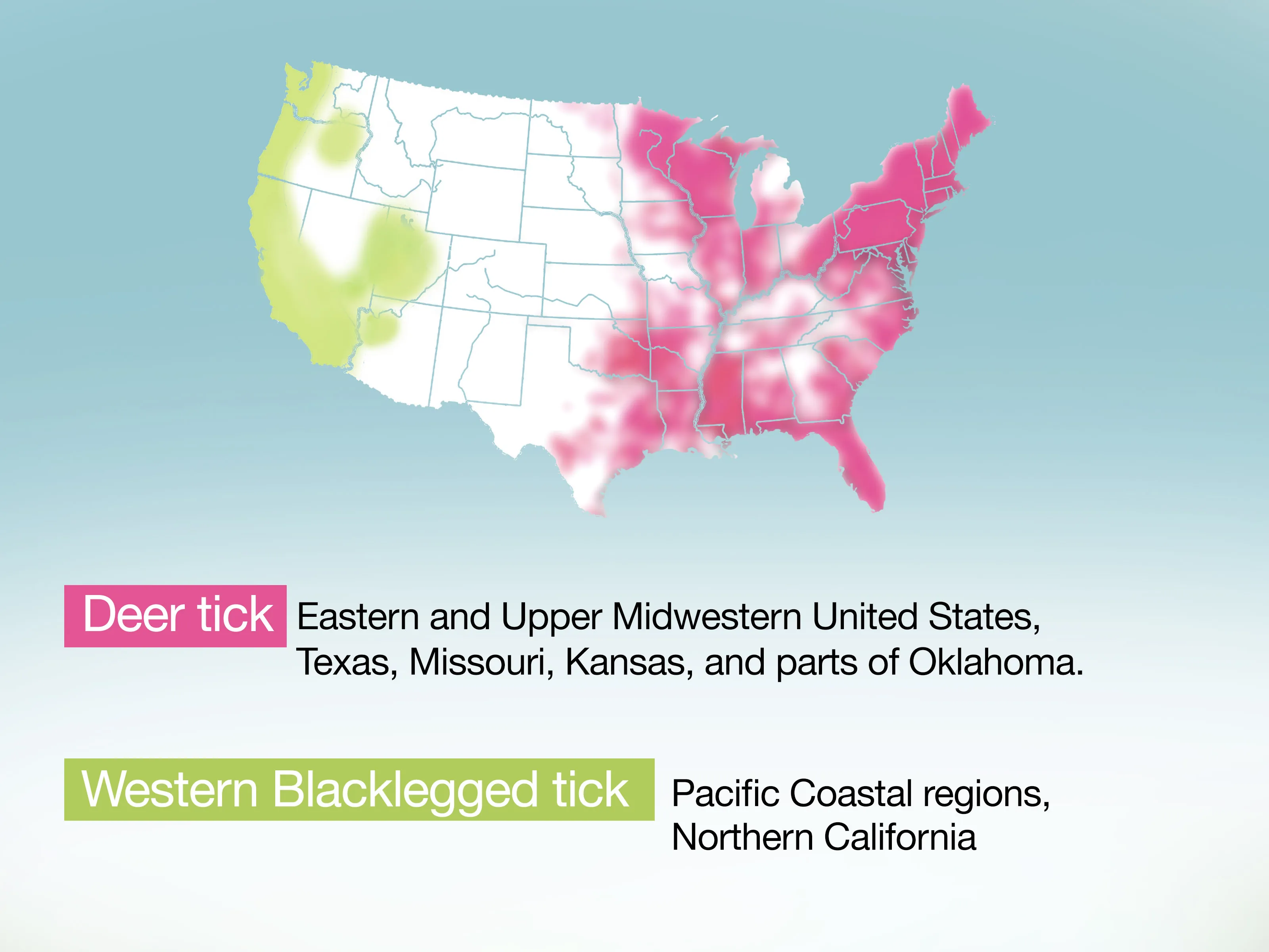 How to Identify a Deer Tick: 6 Steps (with Photos) – Mytour