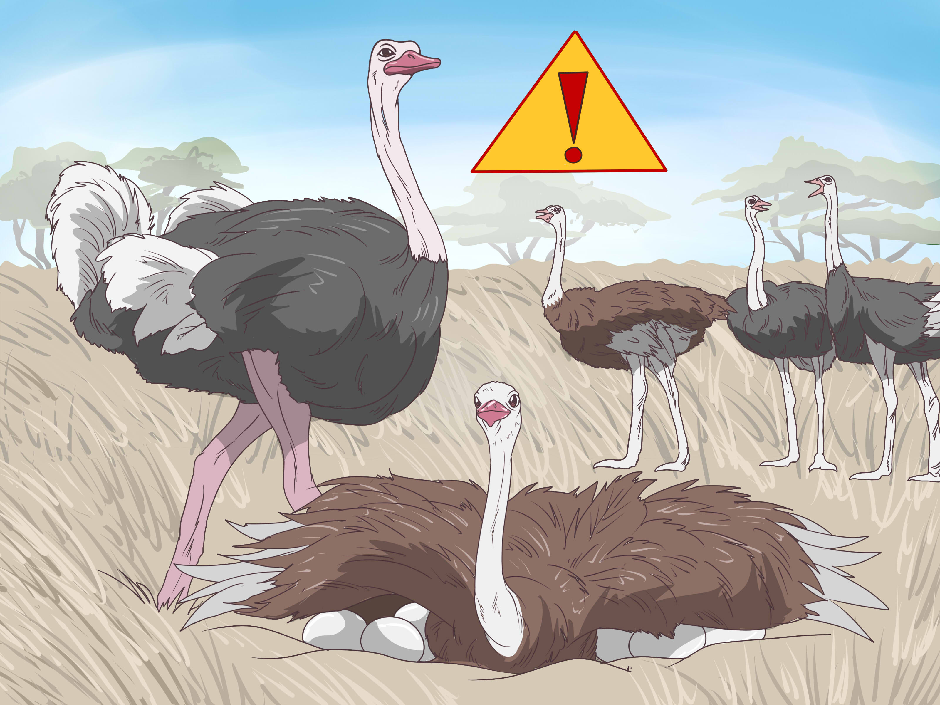 How to Survive an Encounter with an Ostrich