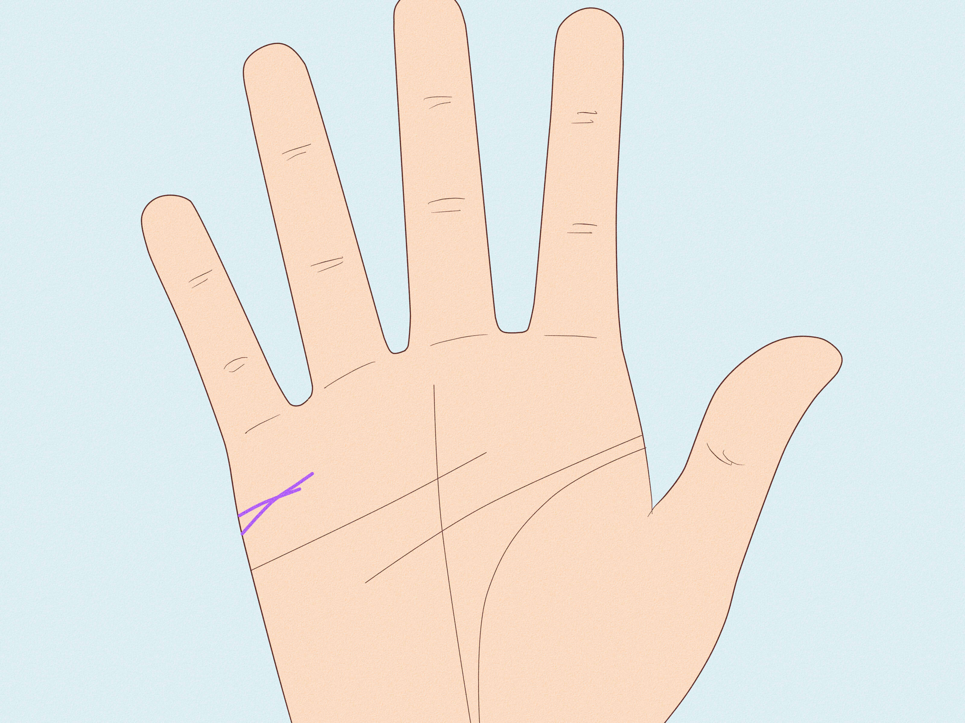 Discovering your marriage lines: the length, curve, and unique features
