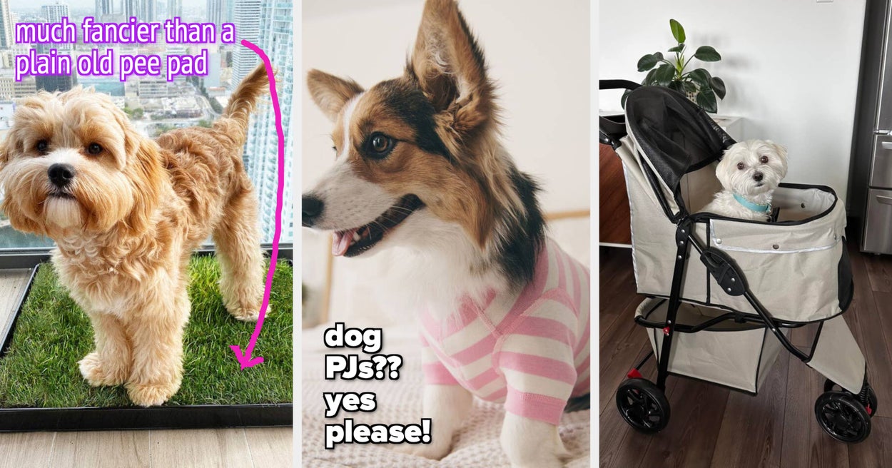 38 Must-Have Pet Products for DINKWAD Couples (And Their Furry Companion)