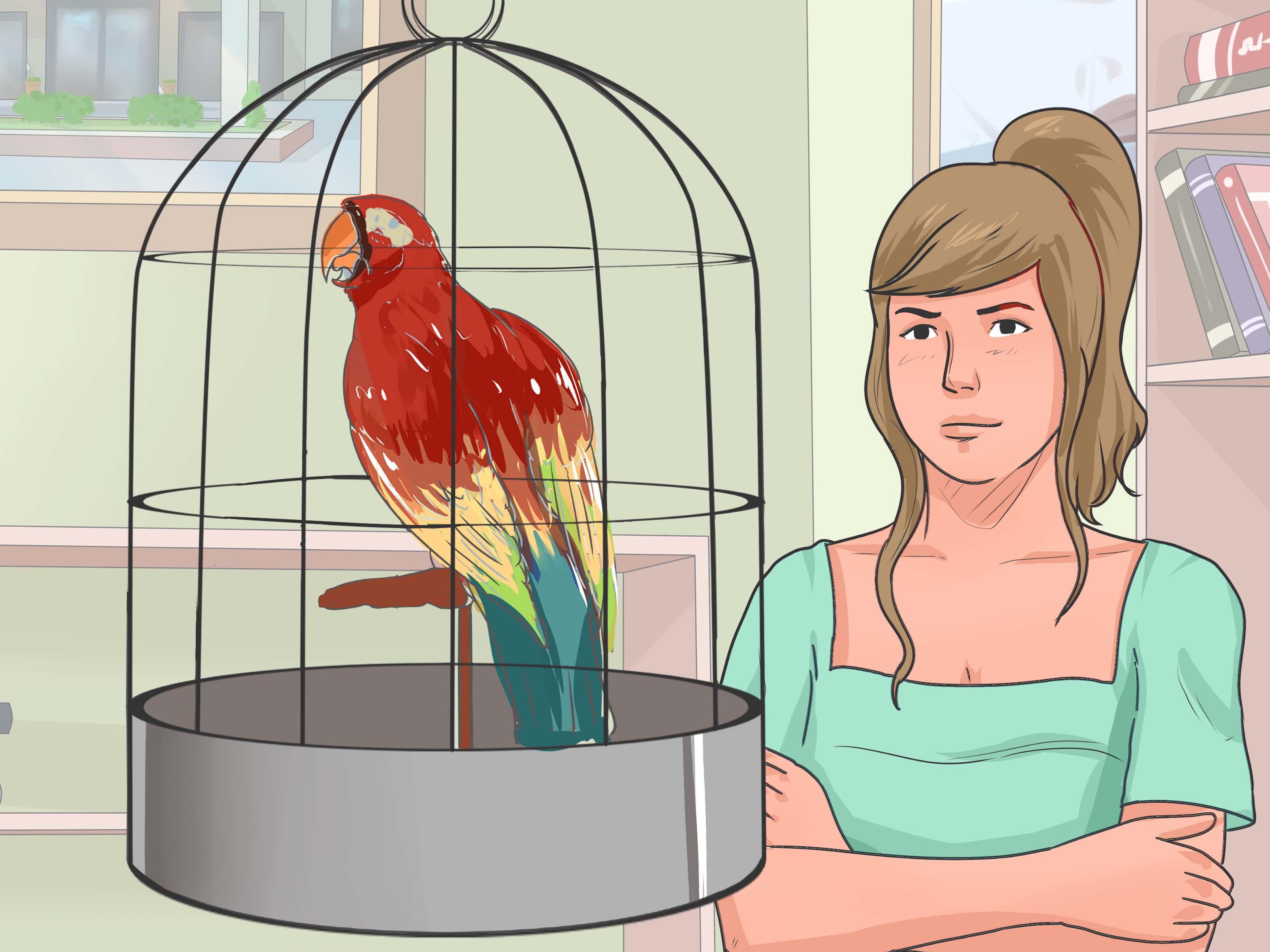 How to Teach Birds to Talk: 11 Steps (With Images) – Mytour