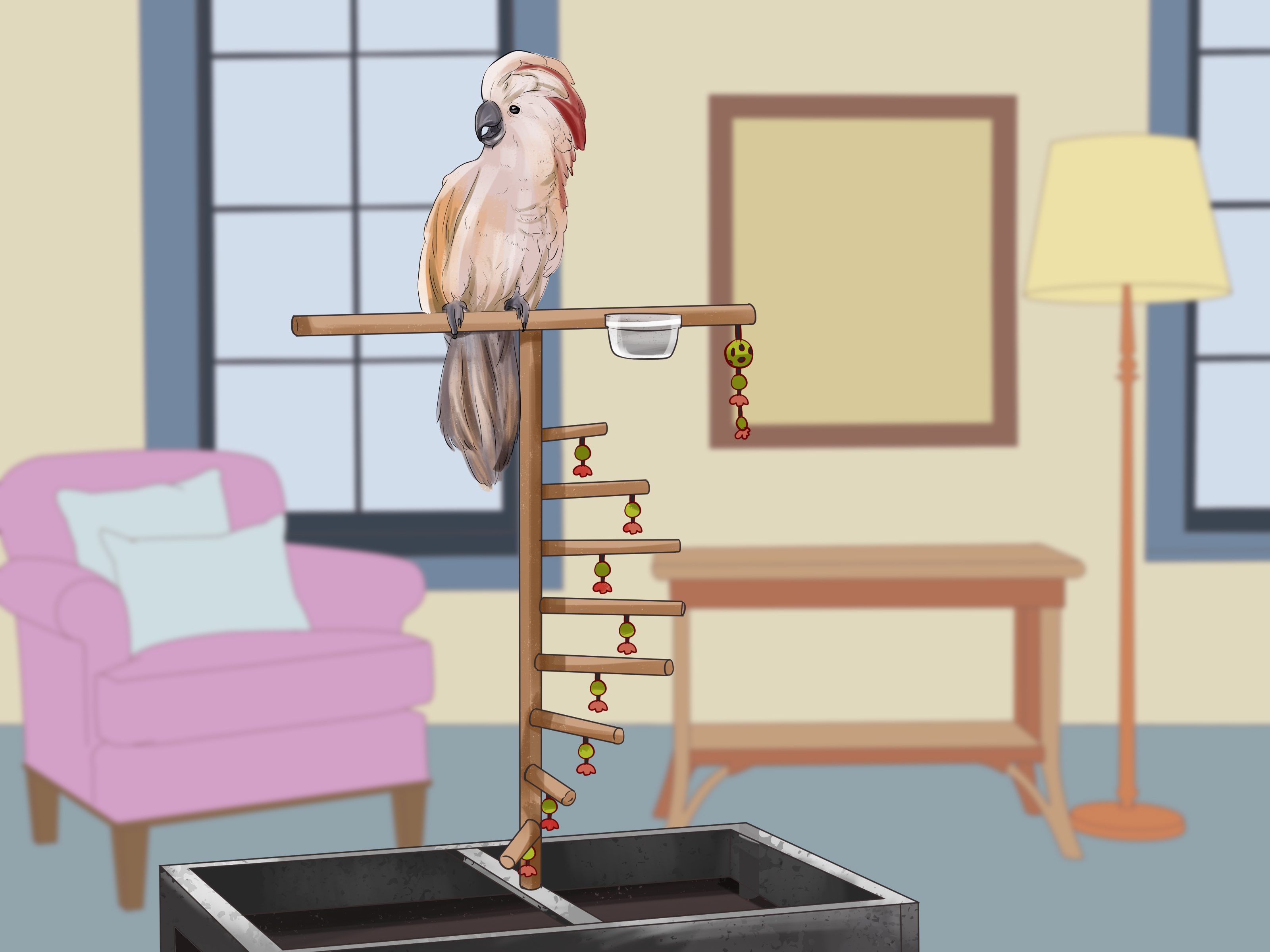 How to Live with a Moluccan Cockatoo Parrot