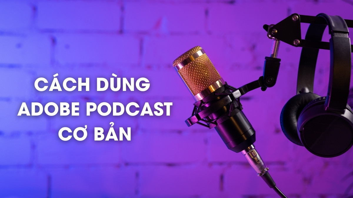 Adobe Podcast là gì? Hướng dẫn sử dụng cơ bản Adobe Podcast một cách ...
