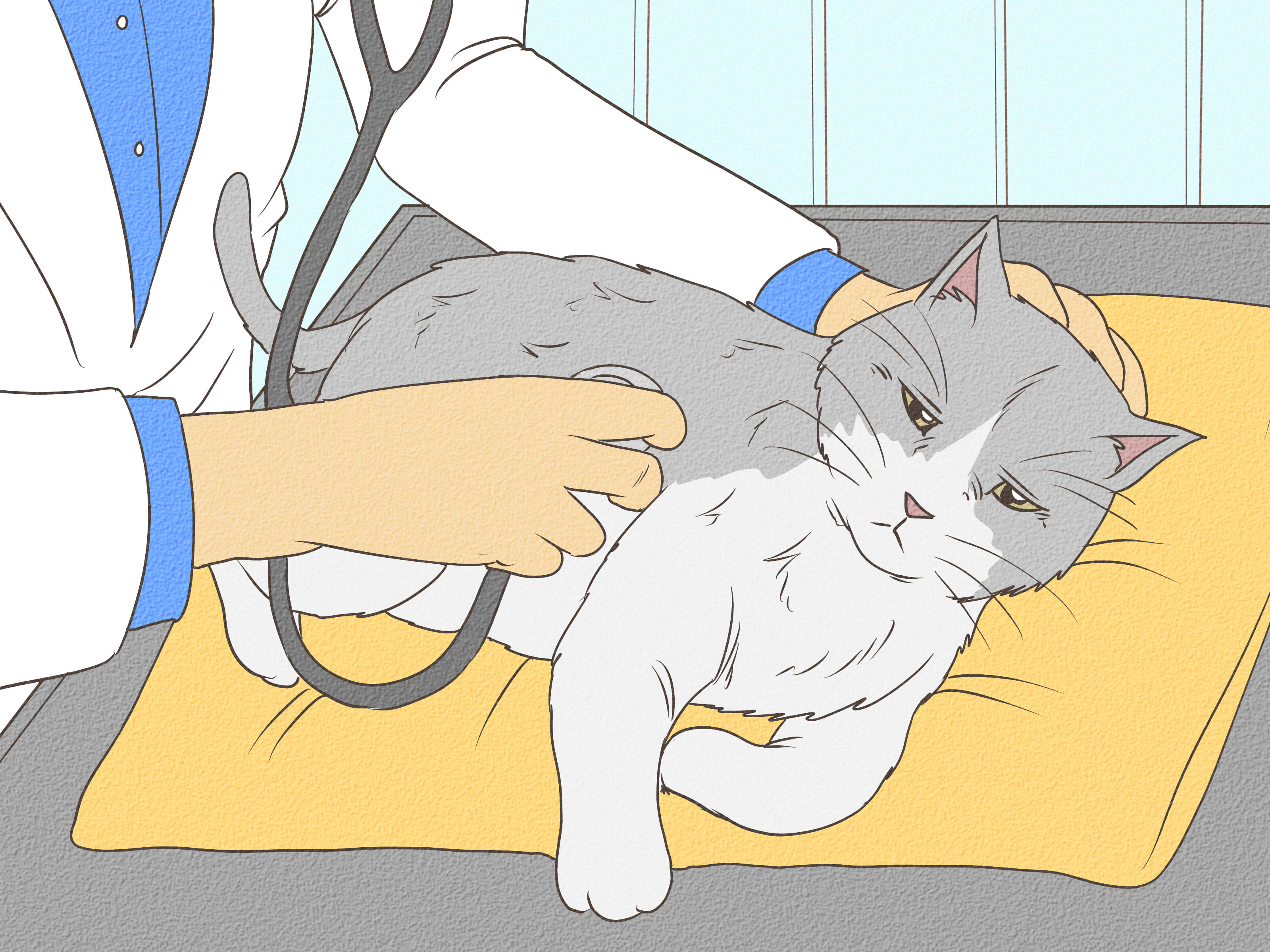 How to Handle Cat Poisoning: 13 Steps (with Pictures) – Mytour