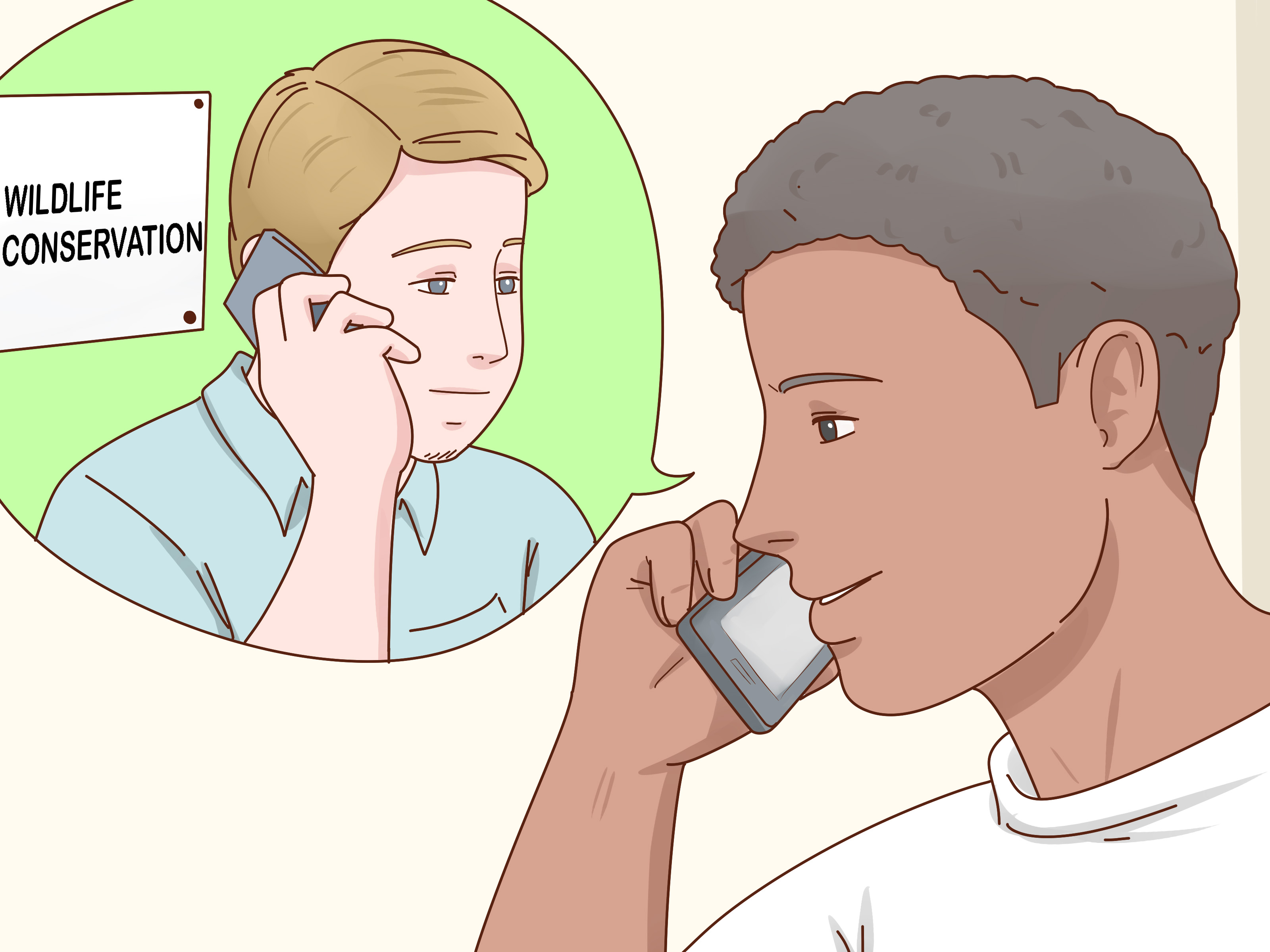 How to Care for Wild Rabbit Kits (with Photos) – Mytour