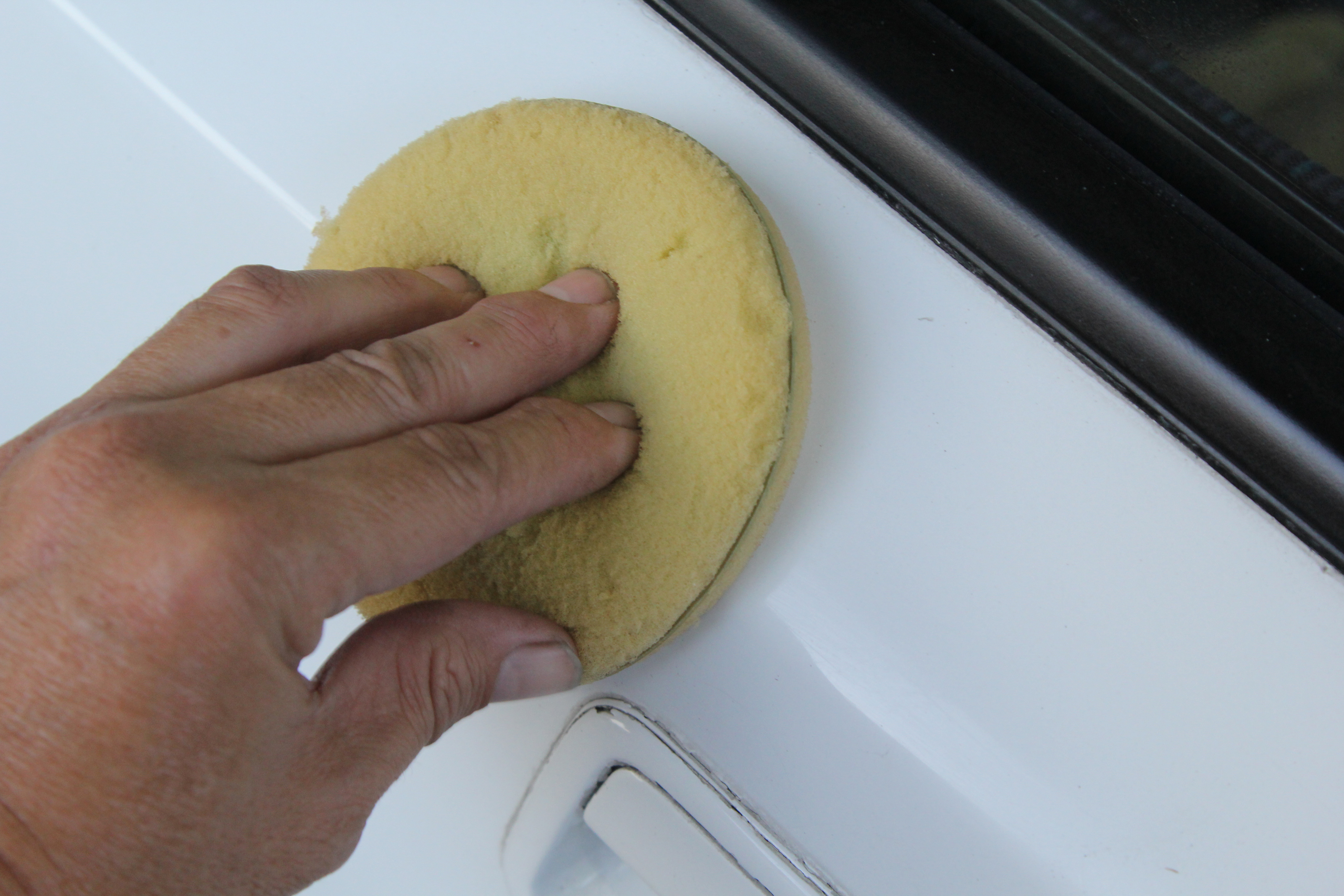 How to Remove Tree Sap from Your Car – Mytour