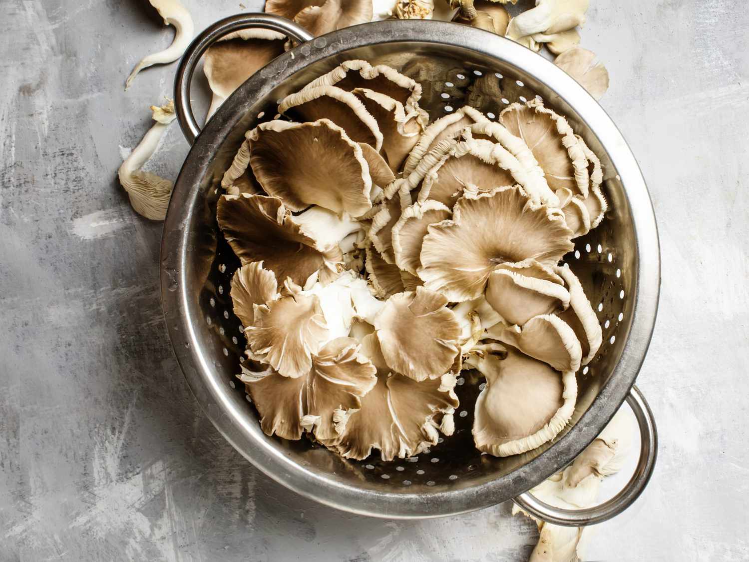 A Guide to Properly Cleaning All Types of Mushrooms for Safe Consumption