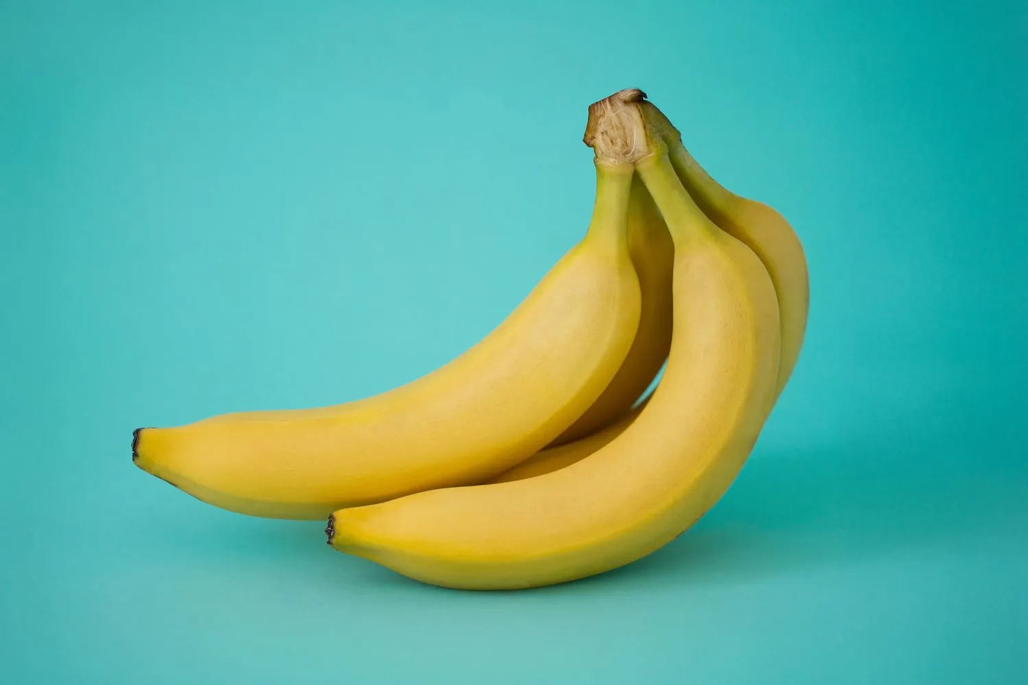 Tips for Keeping Bananas Fresh and Preventing Them from Browning