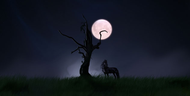 20 Bizarre English Words - Mytour