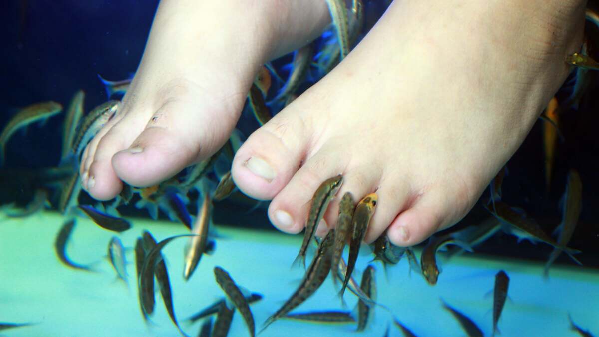 Say Goodbye to Fish Pedicures | Mytour