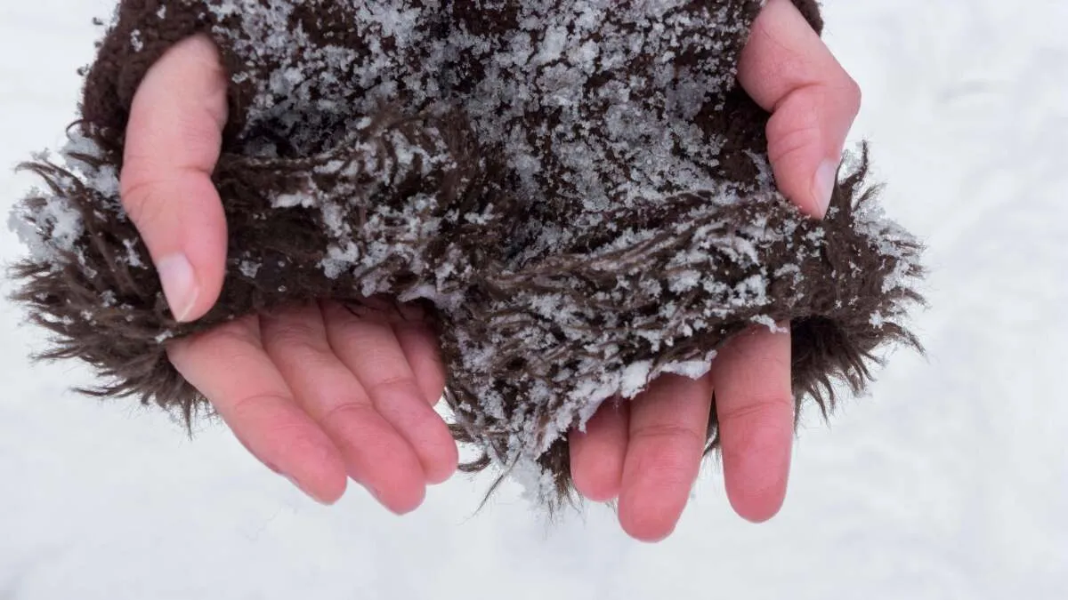 Identifying the Phases of Frostbite and Knowing When to Seek Assistance ...