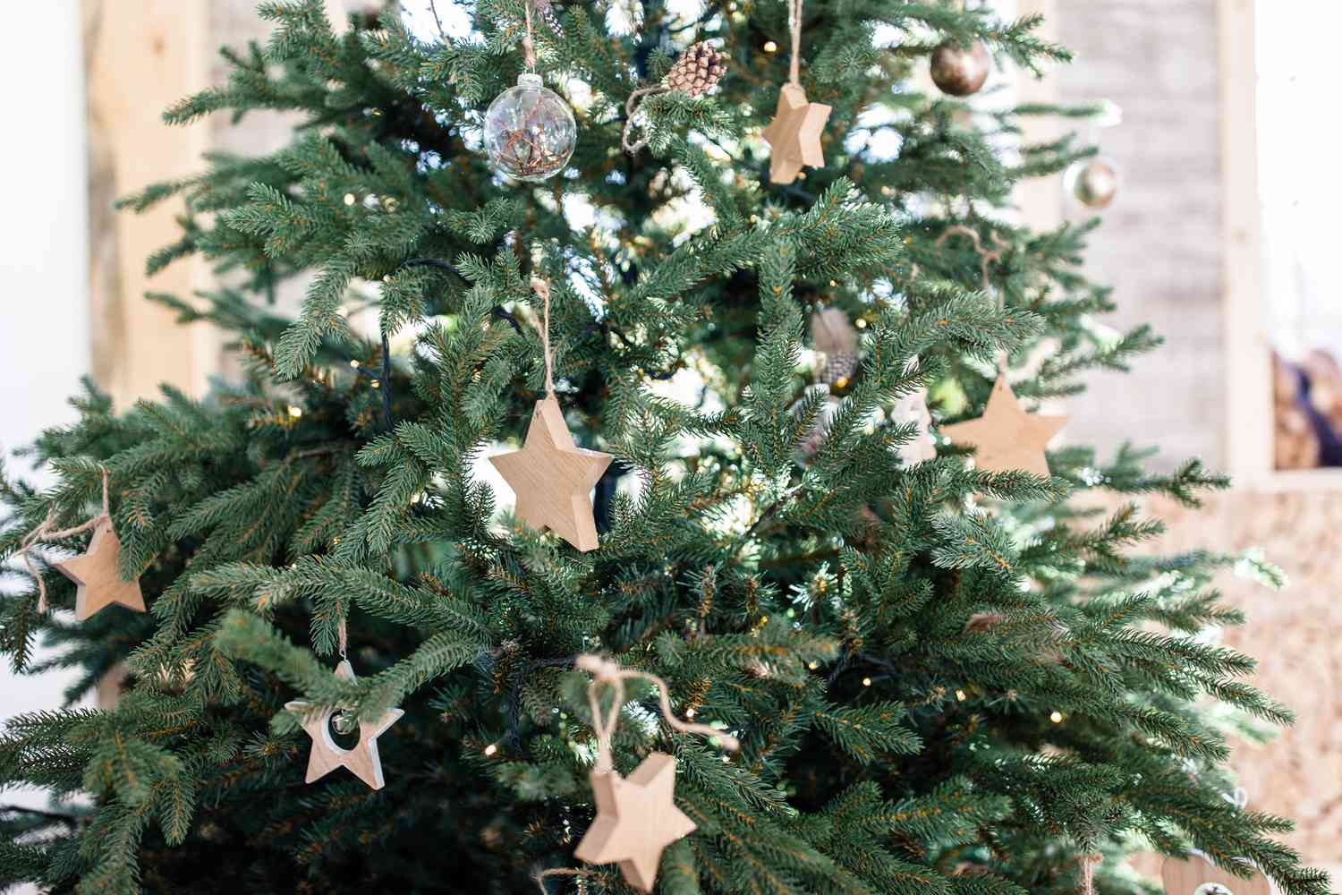 10 Essential Tips for Purchasing Your First Christmas Tree