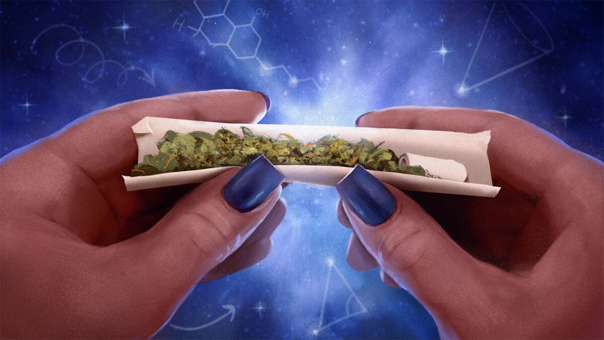 Mastering the Art of Rolling the Perfect Joint | Mytour