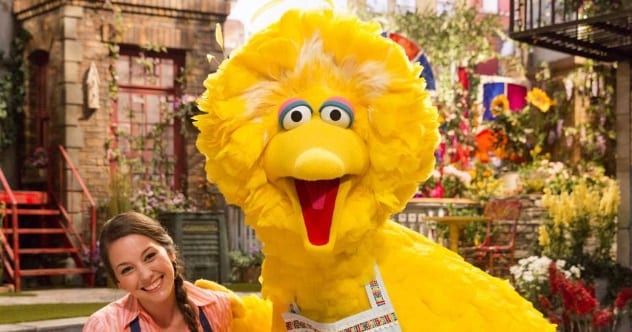 10 Fun and Surprising Facts About Big Bird - Mytour